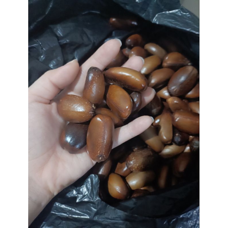 Jual Kelampe / Kalampai / Kelampai kacang Kalimantan | Shopee Indonesia