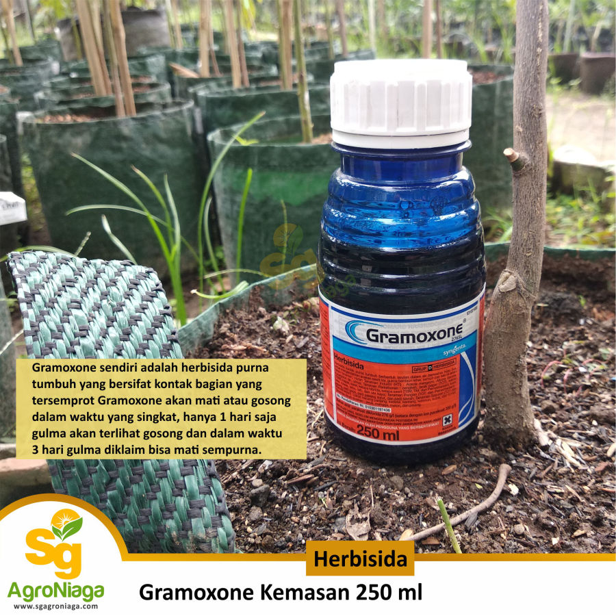 Jual Herbisida Gramoxone Kemasan 250 ml Racun Kontak Rumput Liar ...