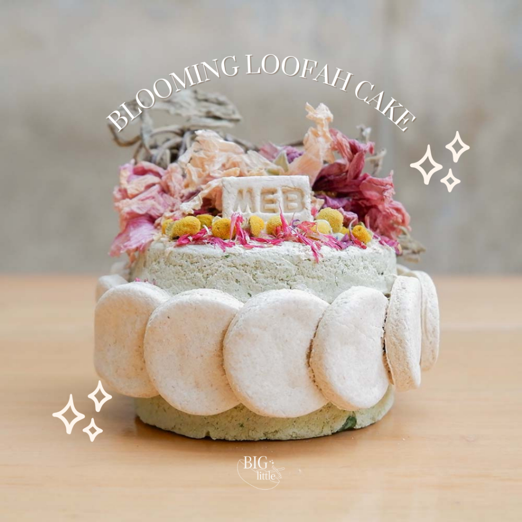 Jual big little tummy | Blooming Loofah Cake / Treats kelinci guinea ...