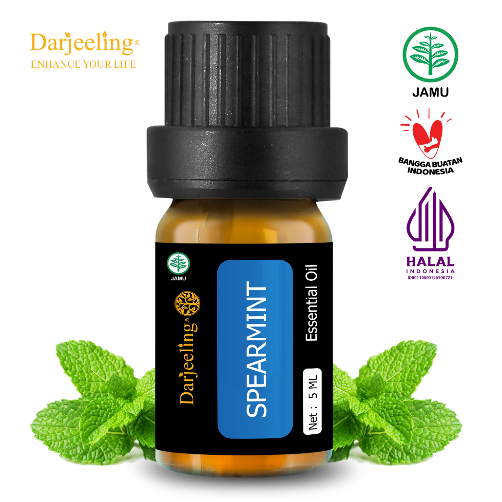 Jual Darjeeling Spearmint Essential Oil / Minyak Daun Mint 5ml | Shopee ...