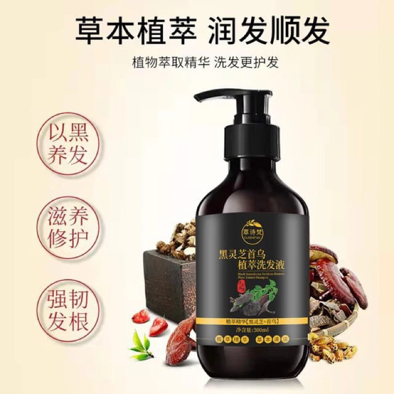 Jual CUISHIFAN SHAMPO HERBAL/BLACK GANODERMA LUCIDUM SHOUWU PLANT ...