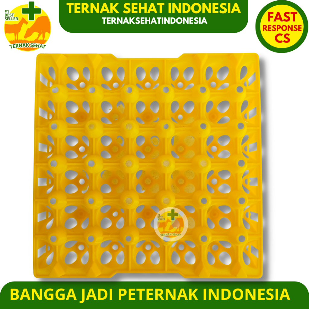 Jual EGG TRAY BEBEK AYAM KUNING 1 PCS - Tempat Telur Kapasitas 30 Butir ...