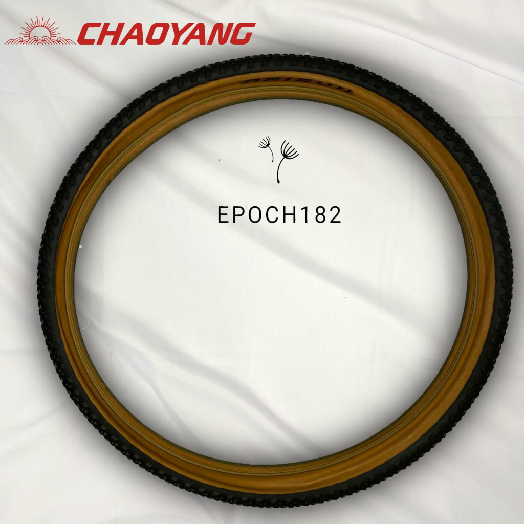 Jual Ban Luar Sepeda Chaoyang Arisun 29 x 2.20 Skinwall | Shopee Indonesia