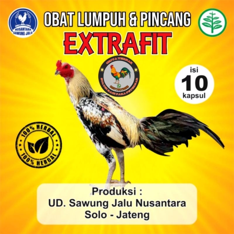 Jual EXTRAFIT (SUPER KILAT) obat lumpuh ,mengatasi lumpuh dan pincang ...