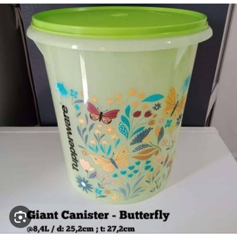 Jual Giant canester butterfly | Shopee Indonesia