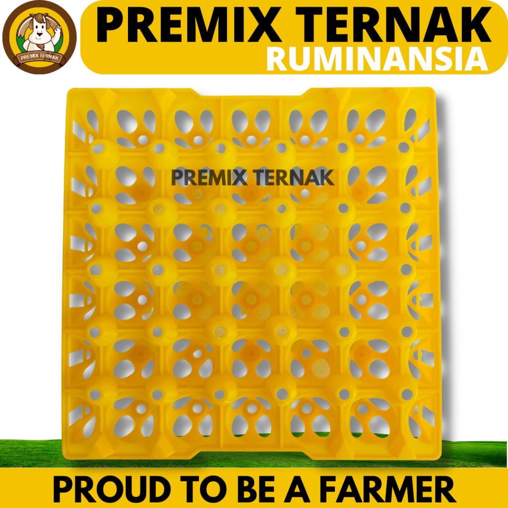 Jual EGG TRAY BEBEK AYAM KUNING 1 PCS - Tempat Telur Kapasitas 30 Butir ...