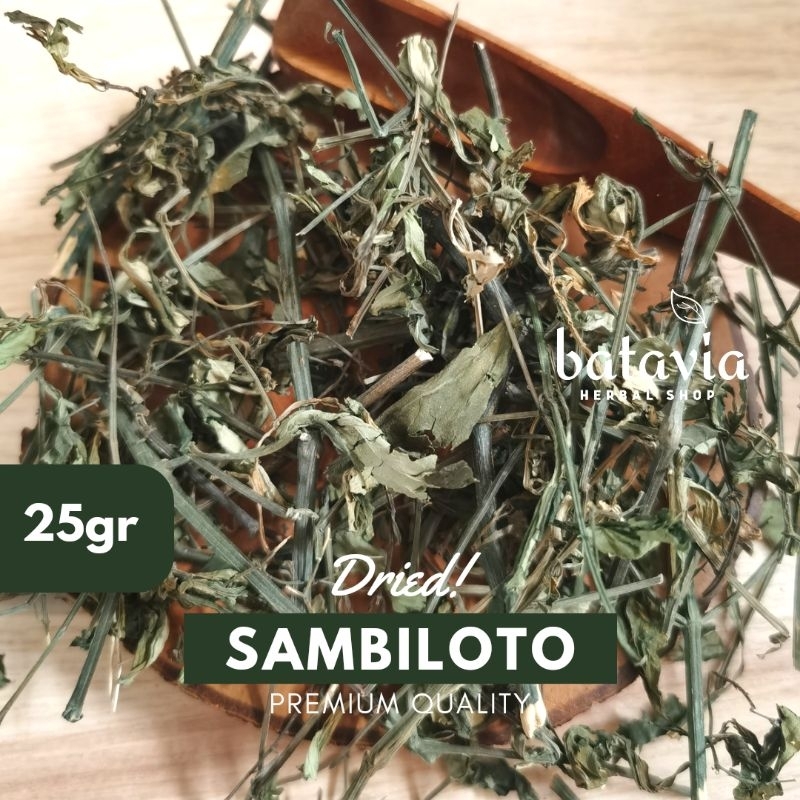 Jual Daun Sambiloto Kering Simplisia Herbal Andrographis Paniculata ...