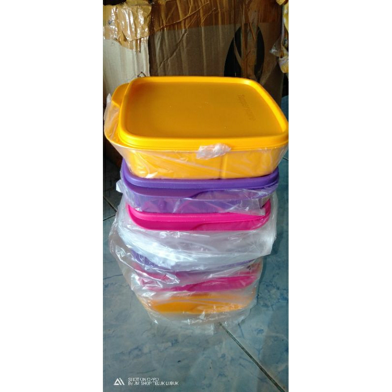 Jual kotak mkan anak loly tupperware new | Shopee Indonesia