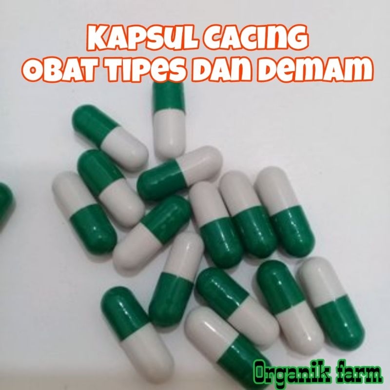 Jual KAPSUL CACING CILUNG OBAT TIPES DAN DEMAM ISI 8 Kapsul | Shopee ...