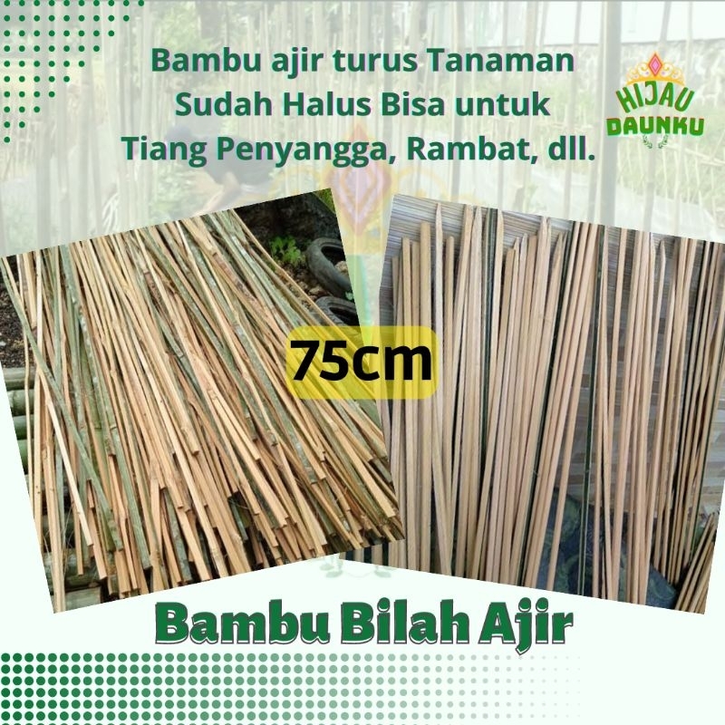Jual Pring Bambu Bilah Ajir Turus Penyanggah Tanaman Kebun Rambat Sudah ...