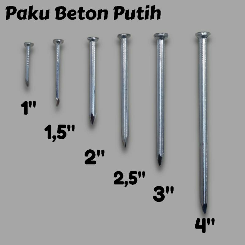 Jual Paku Beton Putih (Per pcs) | Shopee Indonesia