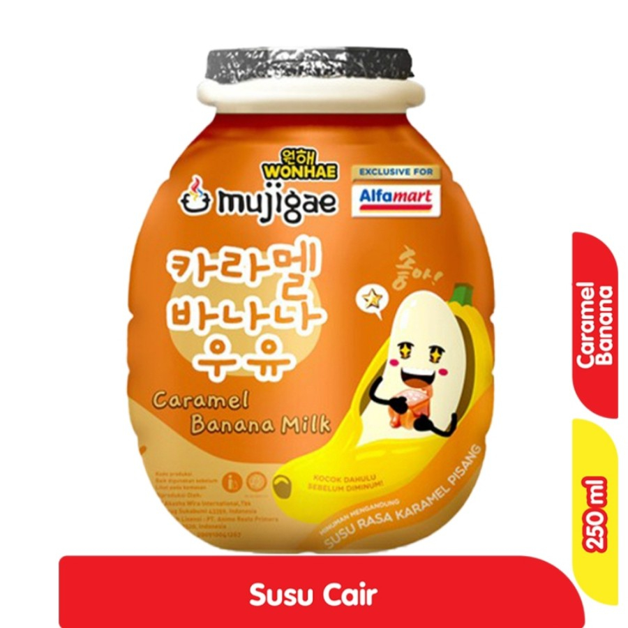 Jual Mujigae Banana Milk Original - Banana Milk Chocolate 250 ml Susu Banana Mujigae | Shopee ...