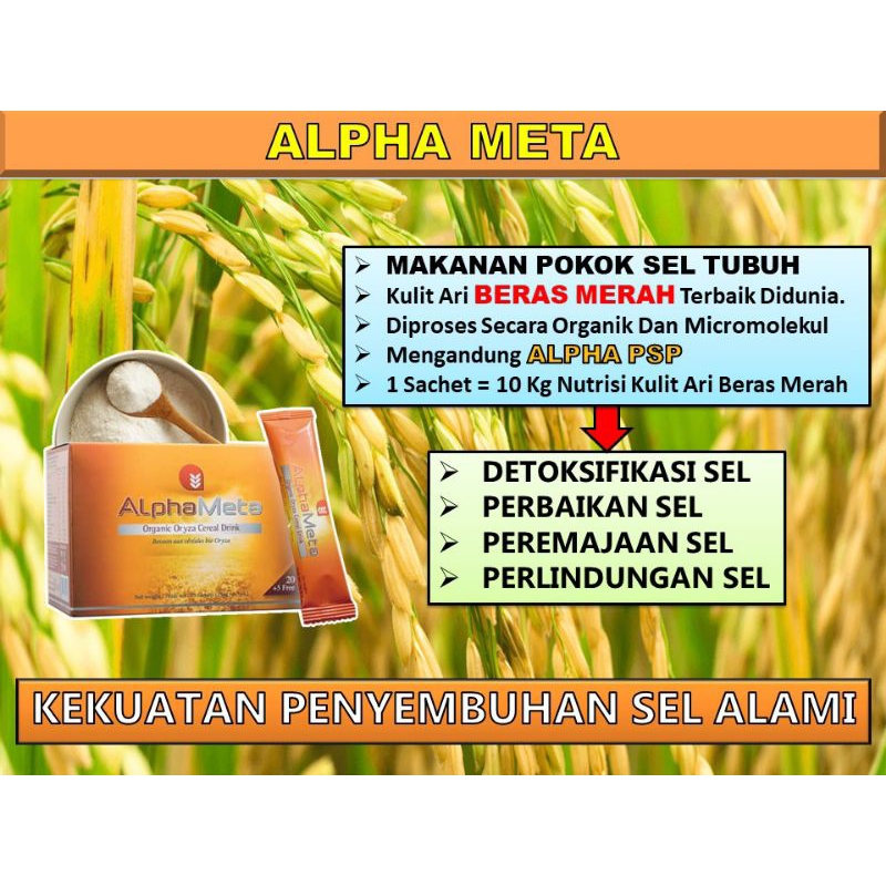 Jual Alphameta 1Box isi 25 Sachet | Shopee Indonesia