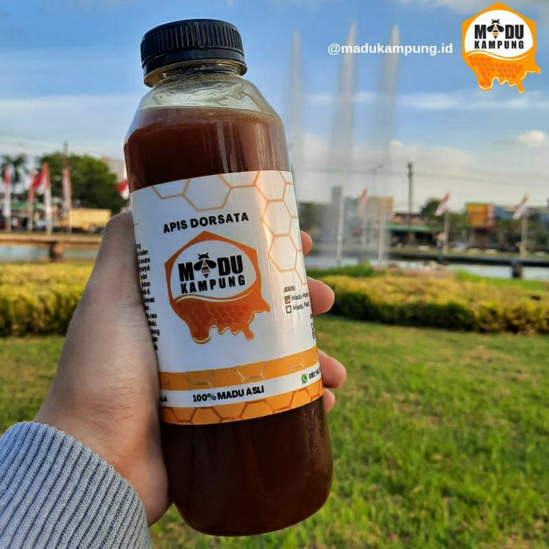 Jual MADU HUTAN MURNI APIS DORSATA 500ml | Shopee Indonesia