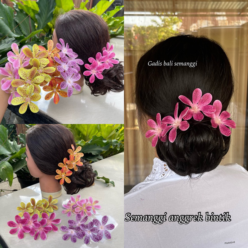 Jual Semanggi Bunga Anggrek Mokara / Semanggi Bunga / Bunga Anggrek ...