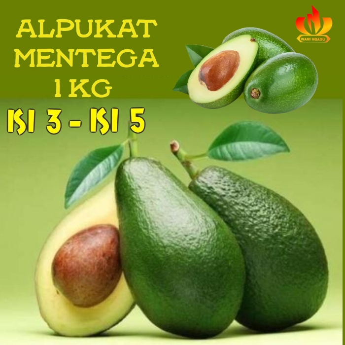 Jual Alpukat Mentega 1 Kg Isi 3–5 Murah Rasa Manis dan Lembut Bisa COD ...