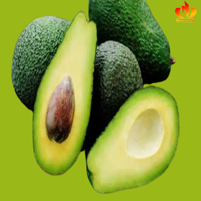 Jual Alpukat Mentega 1 Kg Isi 3–5 Murah Rasa Manis dan Lembut Bisa COD ...