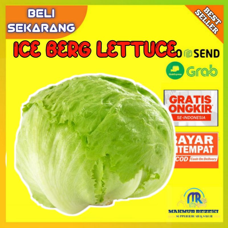 Jual letus lettuce ice Berg 500 gram | Shopee Indonesia