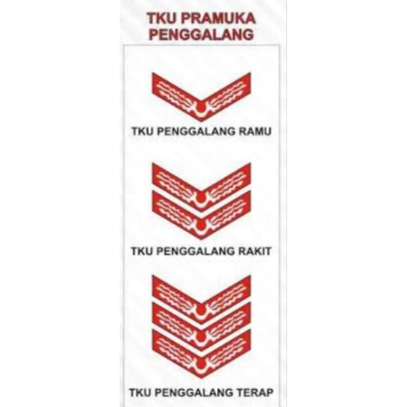 Jual Tanda Kecakapan Umum TKU Pramuka Penggalang | Shopee Indonesia