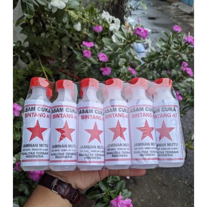Jual Asam Cuka Bintang A1 1lusin x 100ml Cuka Dapur/ makan Kwalitas ...