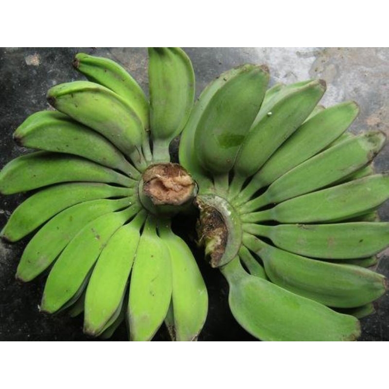 Jual pisang kepok pipit segar 1 sisir 1kg | Shopee Indonesia