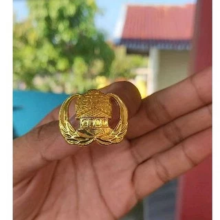 Jual Pin Korpri Terlengkap & Harga Terbaru Juni 2024 | Shopee Indonesia
