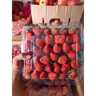 Jual Buah Strawberry Terlengkap & Harga Terbaru Juli 2024 | Shopee ...