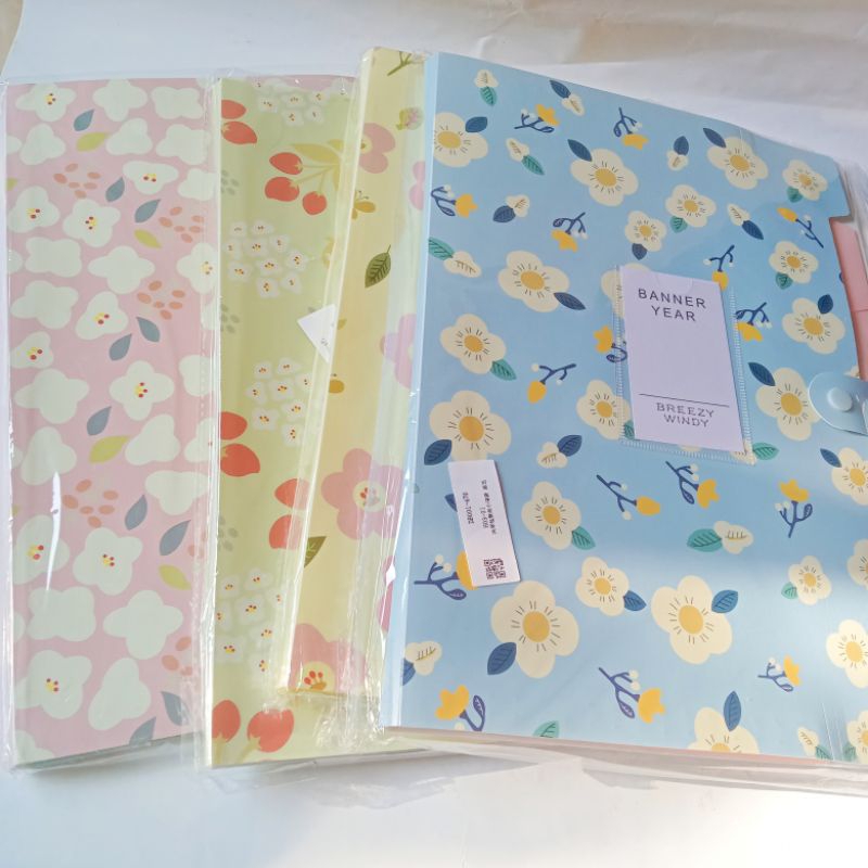Jual Map Folder A4 Aesthetic | Shopee Indonesia