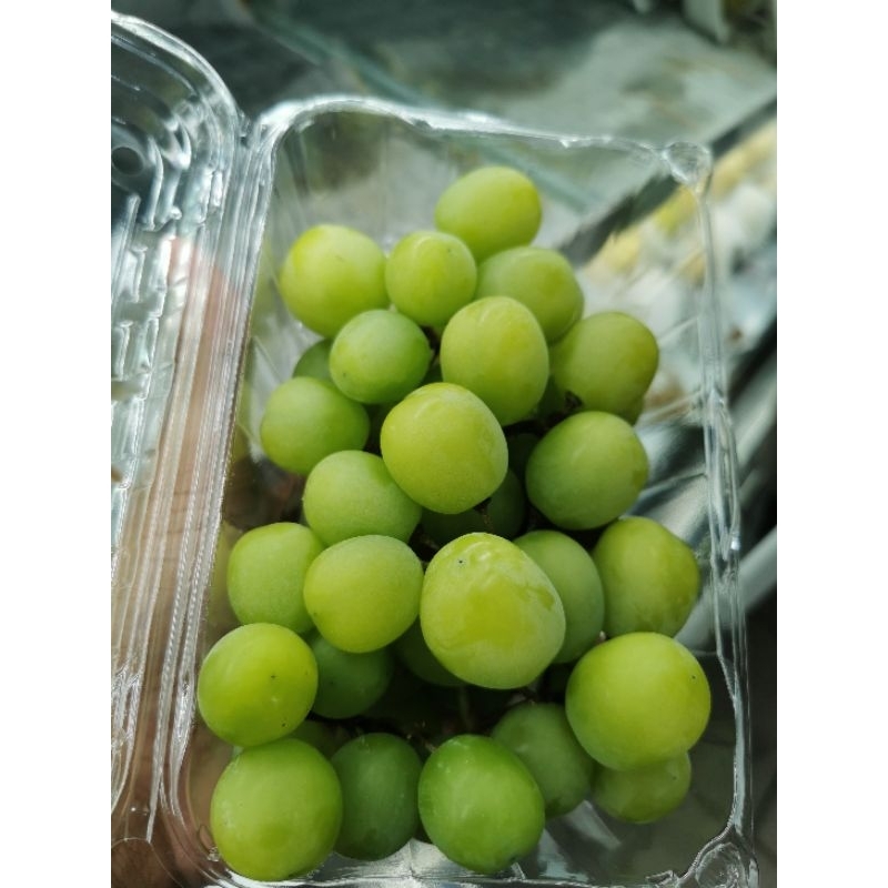 Jual ANGGUR SHINE MUSCAT PACK | Shopee Indonesia