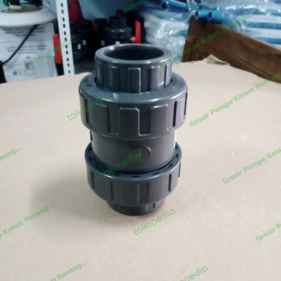 Jual Check Valve Kolam Renang 2in Astral / Check Valve Dilengkapi ...