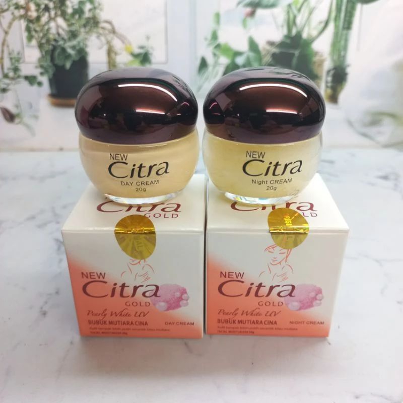 Jual CREAM CITRA GOLD SATUAN DAY&NIGHT 20g | Shopee Indonesia