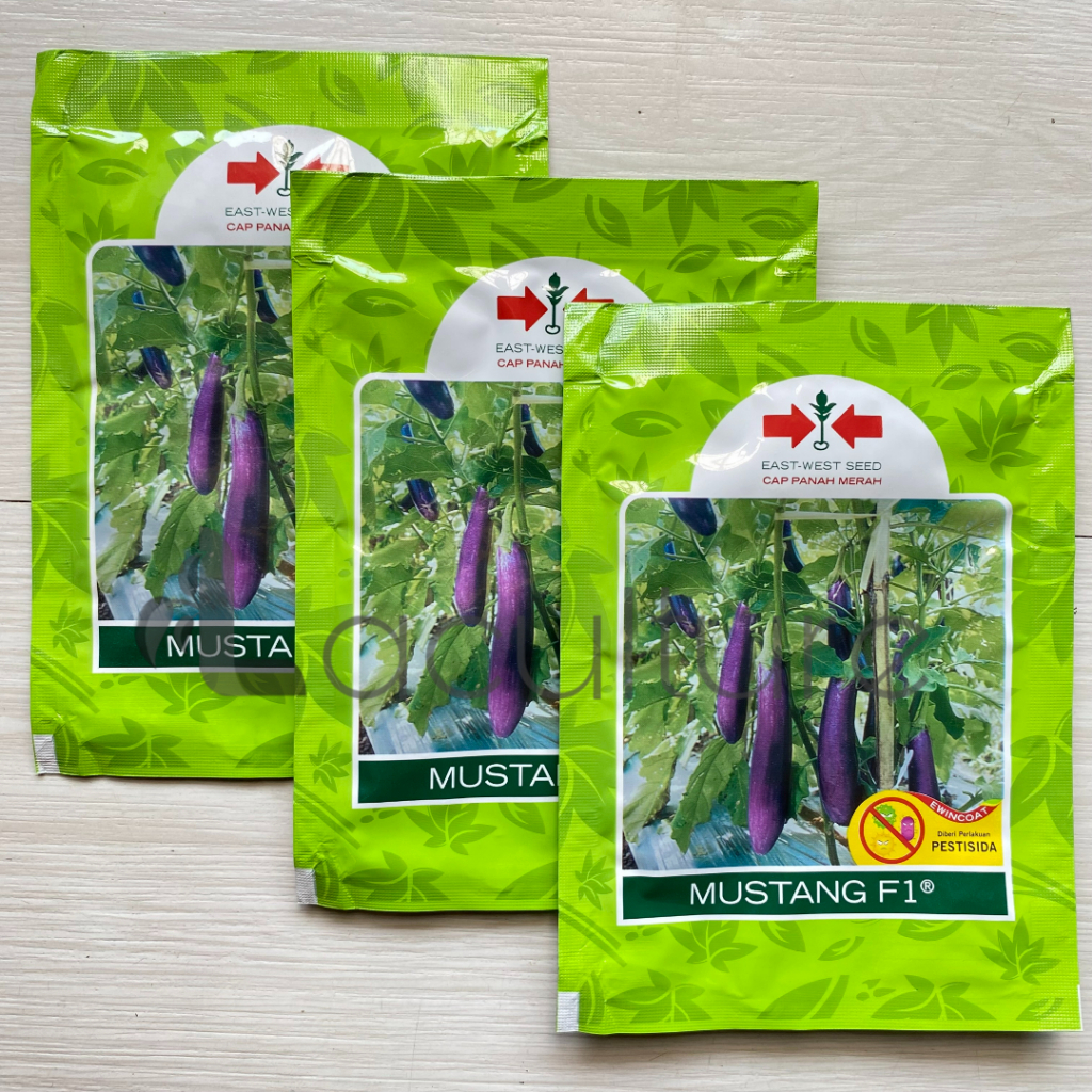 Jual Benih Terong Ungu MUSTANG F1 Isi 1100 Butir Cap Panah Merah | Shopee Indonesia