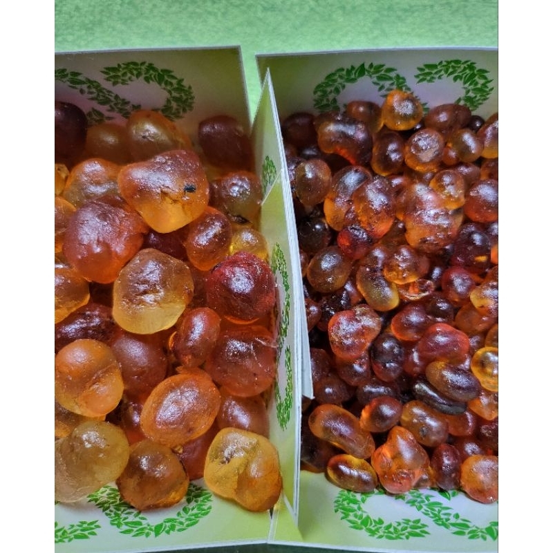 Jual Peach Gum Super Grade Aaa Getah Persik Tao Jiao Peach Resin Peach