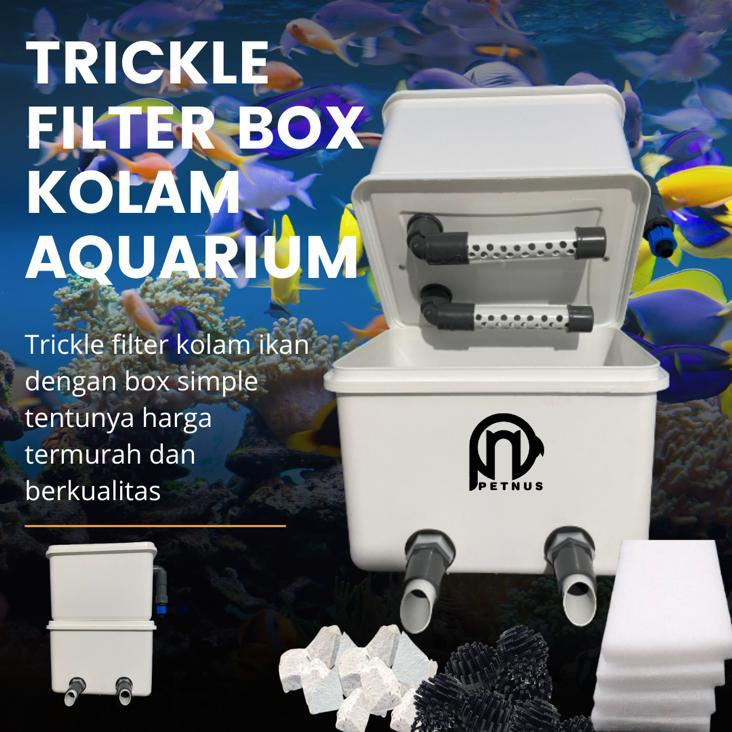 Jual Trickle filter box kolam aquarium | Shopee Indonesia