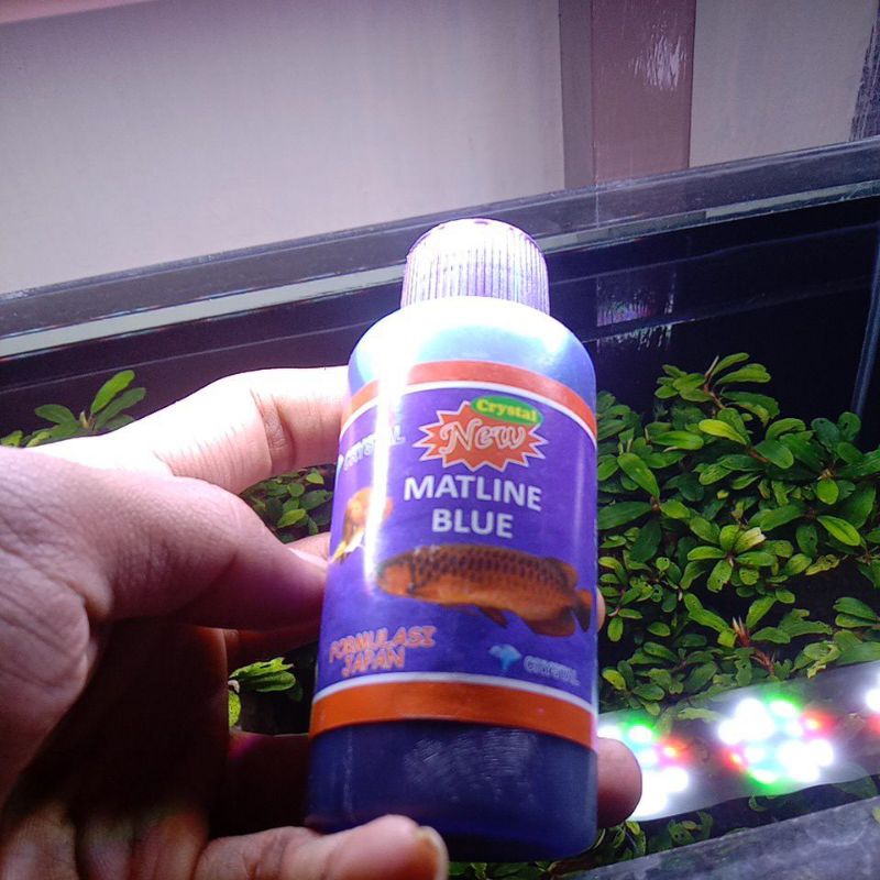 Jual Matline blue untuk semua jenis ikan | Shopee Indonesia