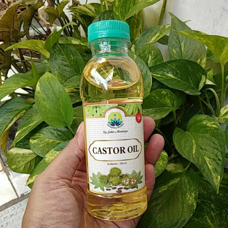 Jual CASTOR OIL / MINYAK JARAK MINYAK CASTOR TERLARIS SURABAYA | Shopee ...