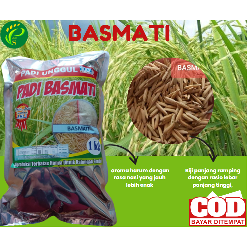 Jual Biji Padi Basmati Kemasan 1KG | Shopee Indonesia