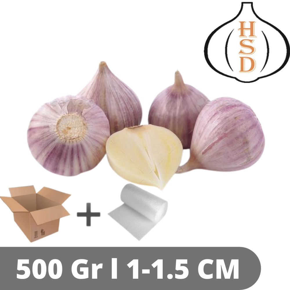 Jual HSD Bawang Tunggal Mini 1 - 1.5 Cm Solo Garlic 500 Gr | Shopee ...