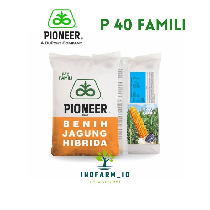 Jual Benih Jagung Hibrida Pioneer P40 Famili ~1kg | Shopee Indonesia