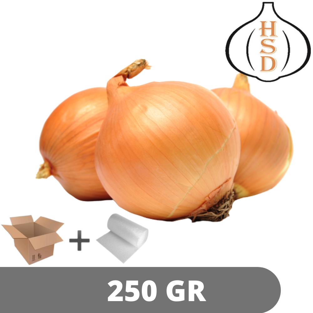 Jual HSD Bawang Bombay Onion 250 Gr | Shopee Indonesia