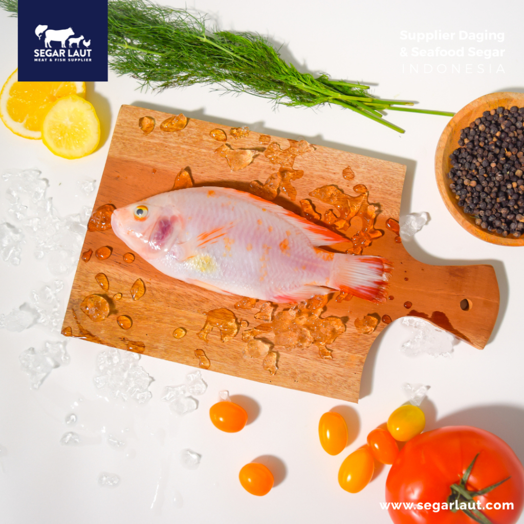 Jual Ikan Nila Merah | Red Tilapia | Fresh Frozen & Segar | Shopee ...