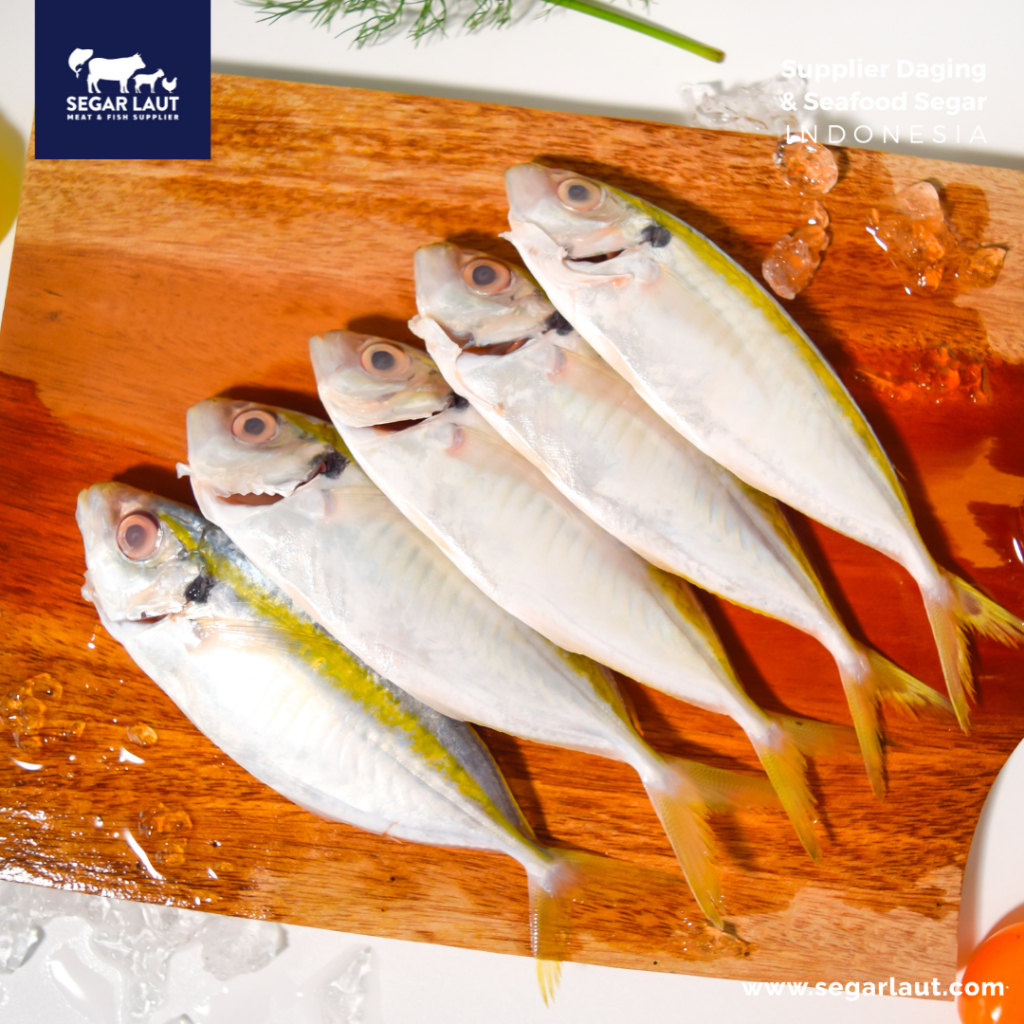 Jual Ikan Selar Segar (Yellowtail Scad) – FRESH GRADE | Shopee Indonesia