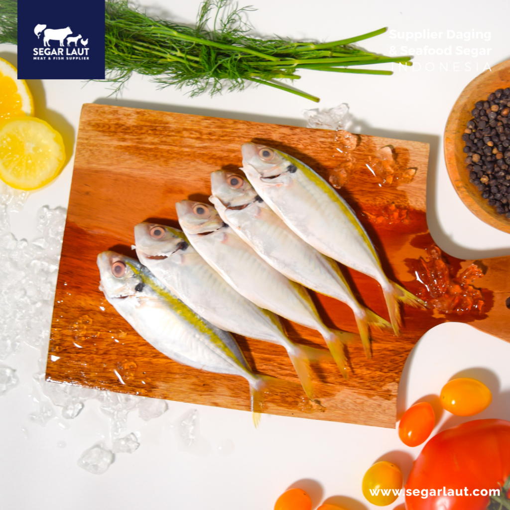 Jual IKAN SELAR | YELLOWTAIL SCAD | FRESH FROZEN & SEGAR | Shopee Indonesia