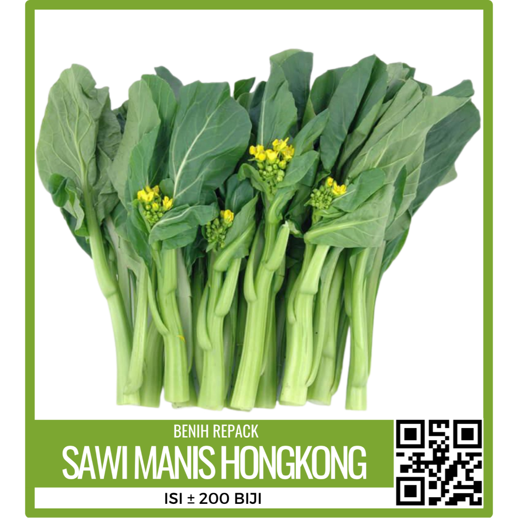 Jual BENIH BIBIT SAWI MANIS SAWI BUNGA HONG KONG CHOY SUM CAISIM ...