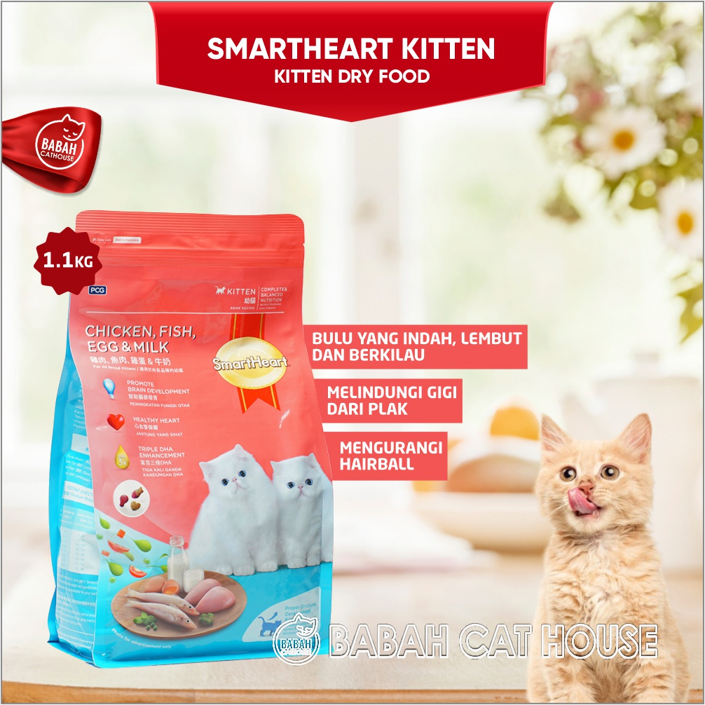 Jual SMARTHEART KITTEN 1.1KG Dry Cat Food Smart Heart Makanan Anak ...