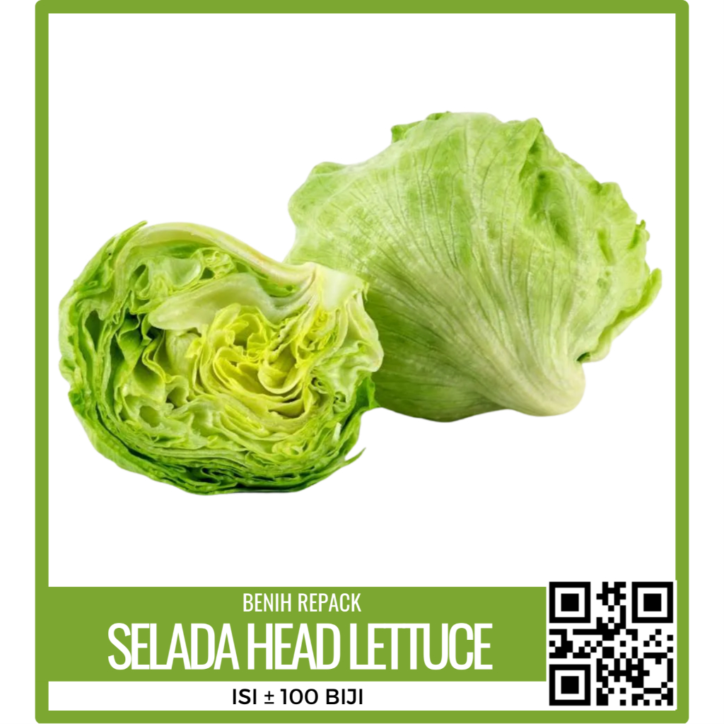 Jual BENIH BIBIT SELADA HEAD LETTUCE ISI 100 AN KEMASAN REPACK ZIPLOCK ...