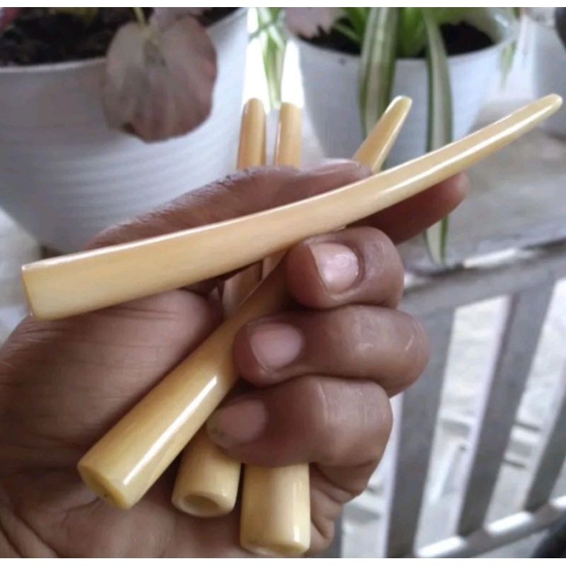 Jual once tulang sapi kuning mirip gading/once tulang sapi super/once ...