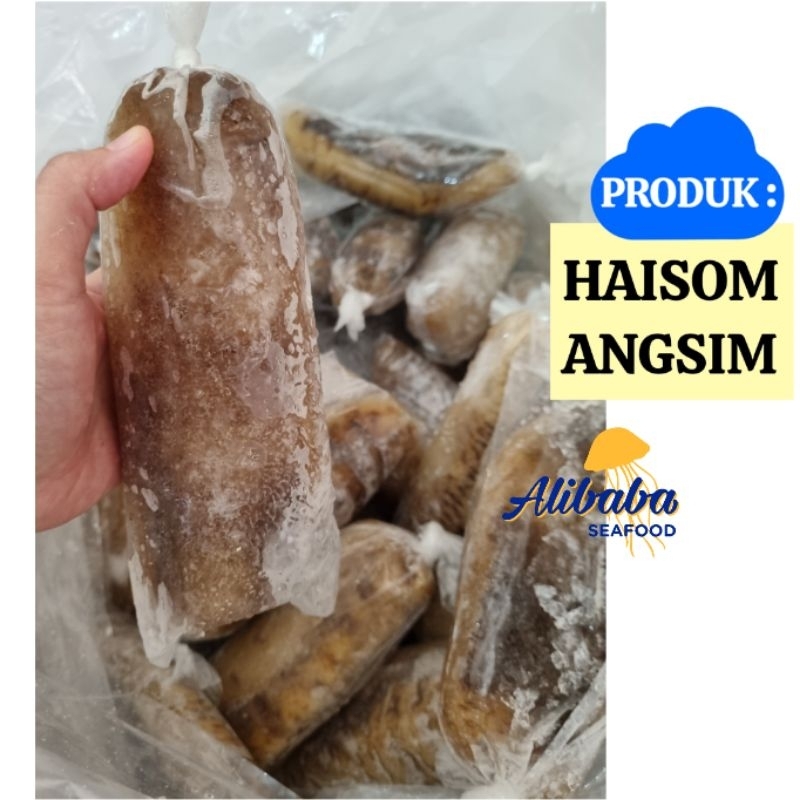 Jual Haisom Angsim / Teripang Frozen Sedang 1kg | Shopee Indonesia