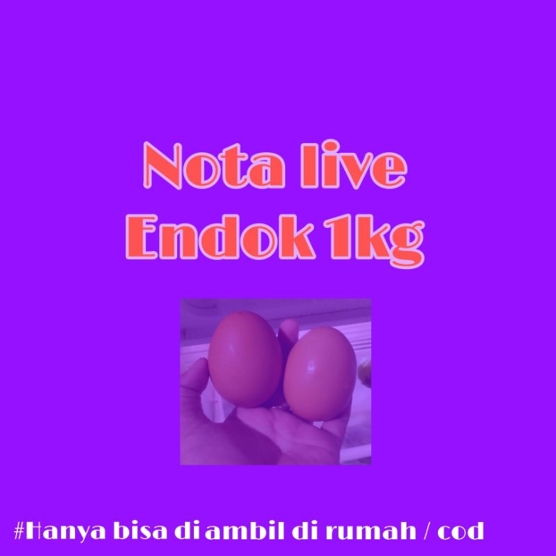 Jual Nota Live endok 1kg | Shopee Indonesia