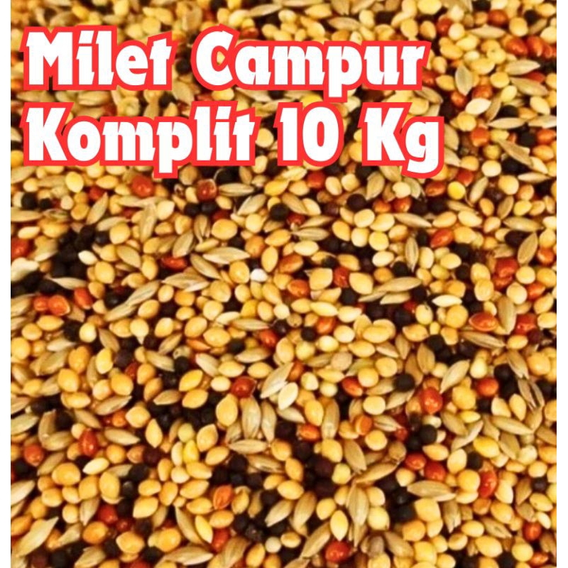 Jual Milet Campur Milet Kuning Campur Komplit 10 Kg Pakan Burung ...